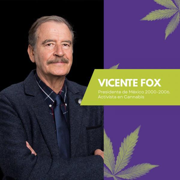 CannaMexico - Centro Fox