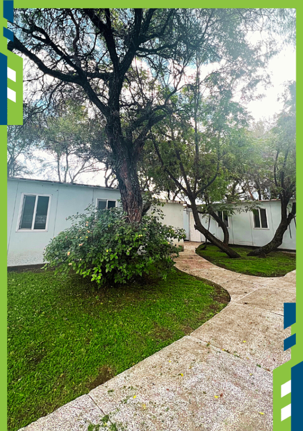 Home - Centro Fox